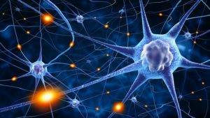 Blog - 7 Major Developments in Neuroscience of 2017
