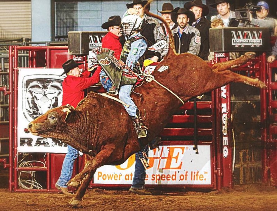 Blog - A Window into the World of Rodeo Performance