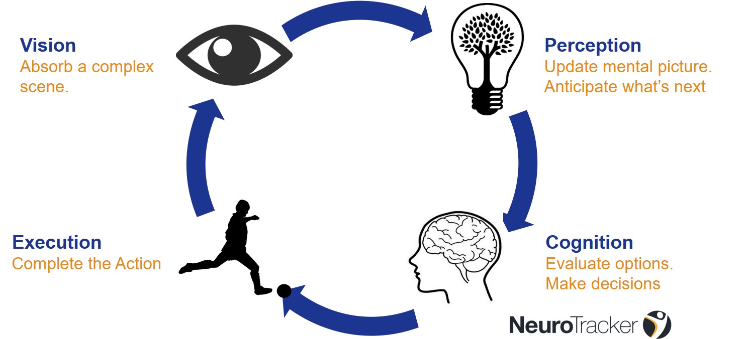 Blog - What is Neurovision Training?