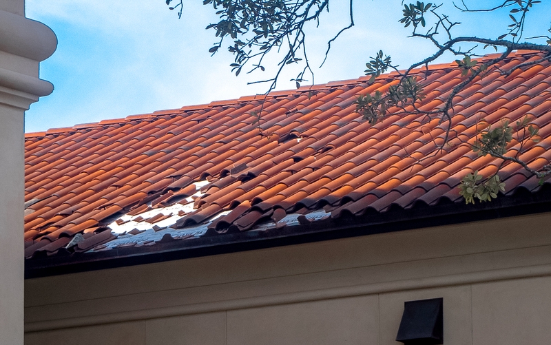 Faulty Roofs 101: Which Warning Signs Should You Lookout For?