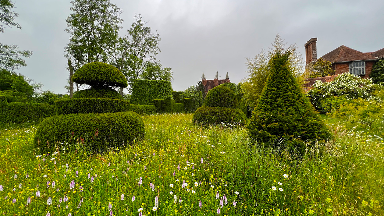 The future of topiary robots and the history of Great Dixter’s yew designs