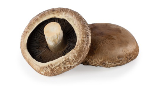 Carleton Mushroom Farms