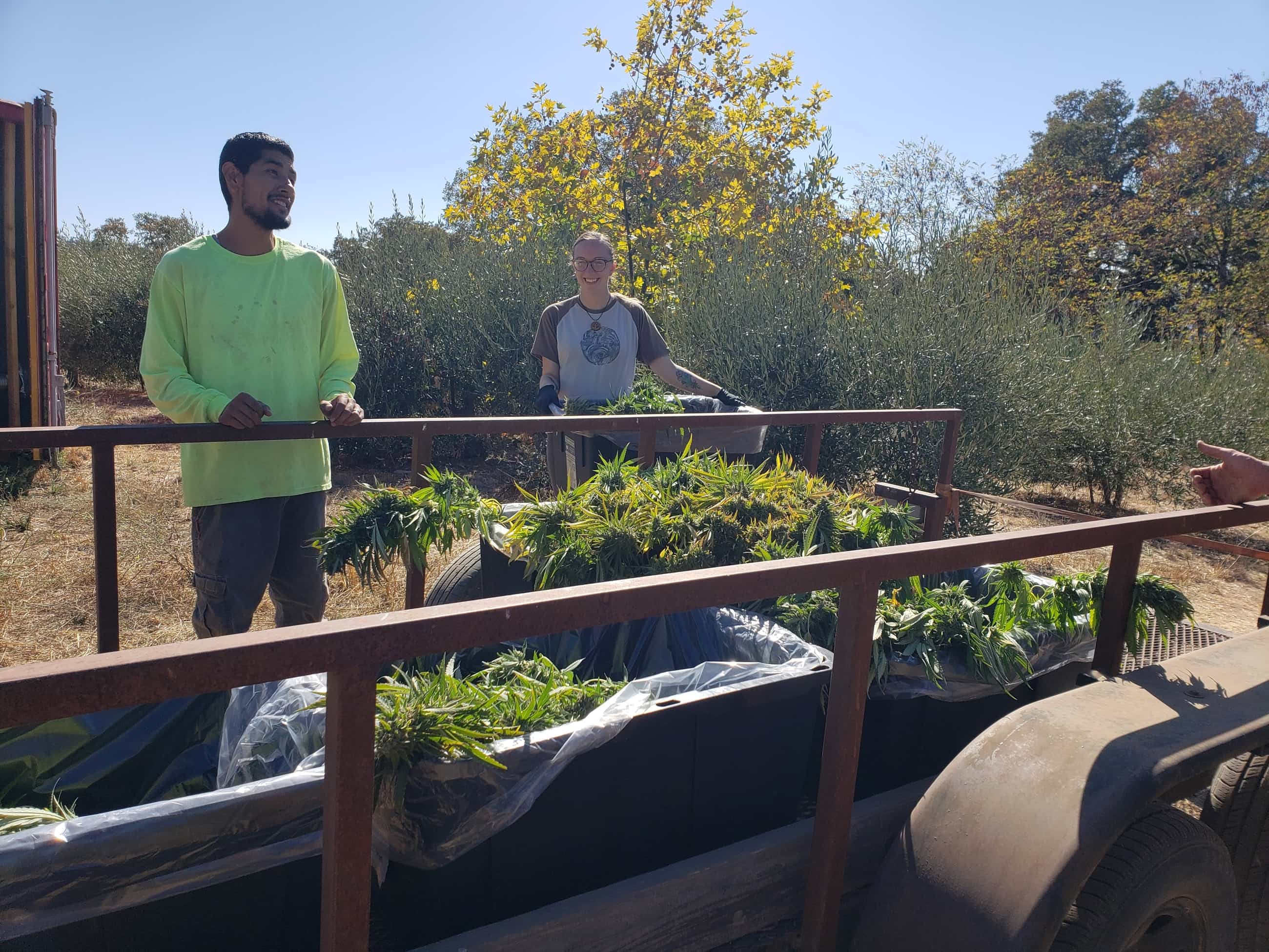 About Canix - Top Seed to Sale Company