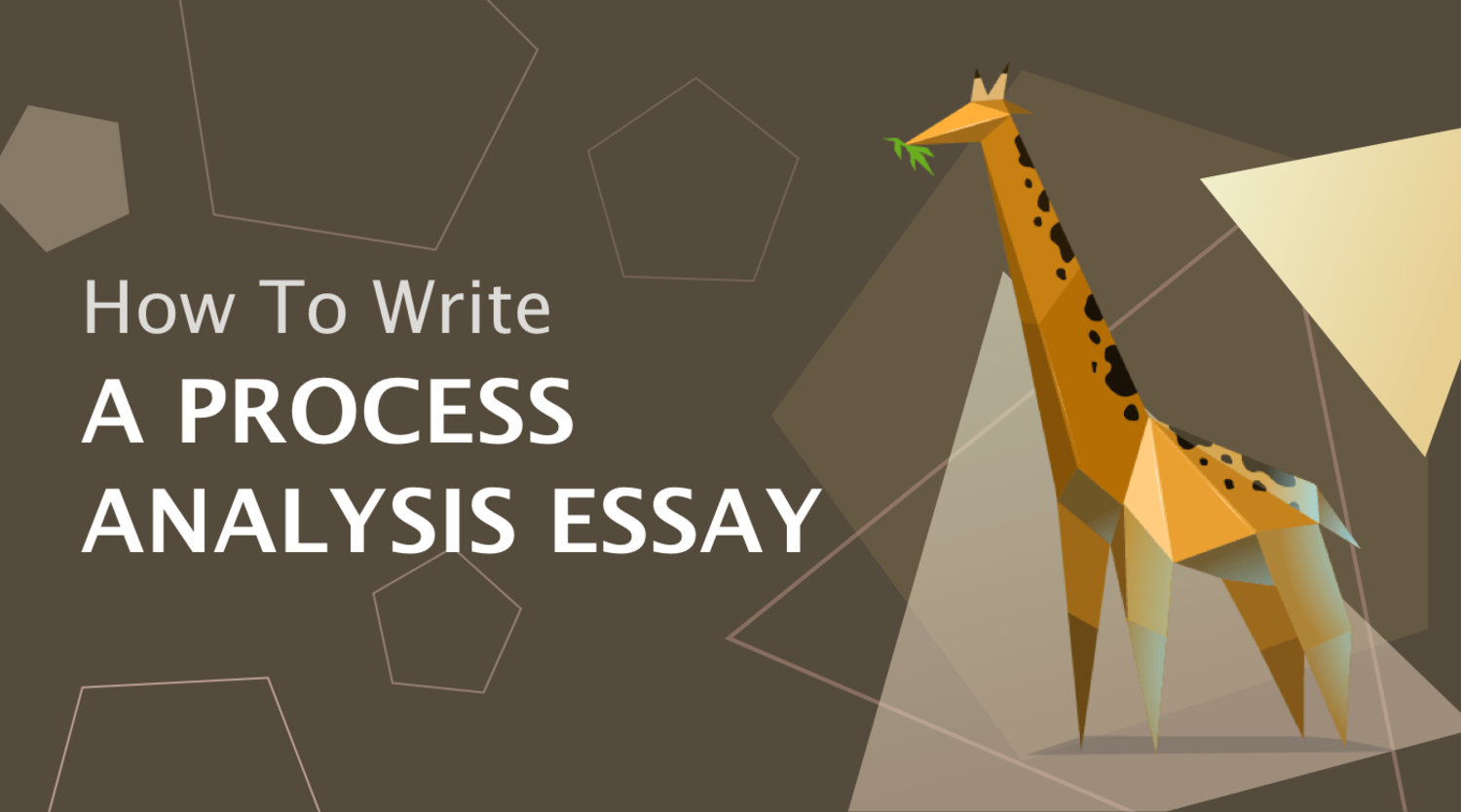 How To Write A Process Analysis Essay Writing Guide EssayHub Blog
