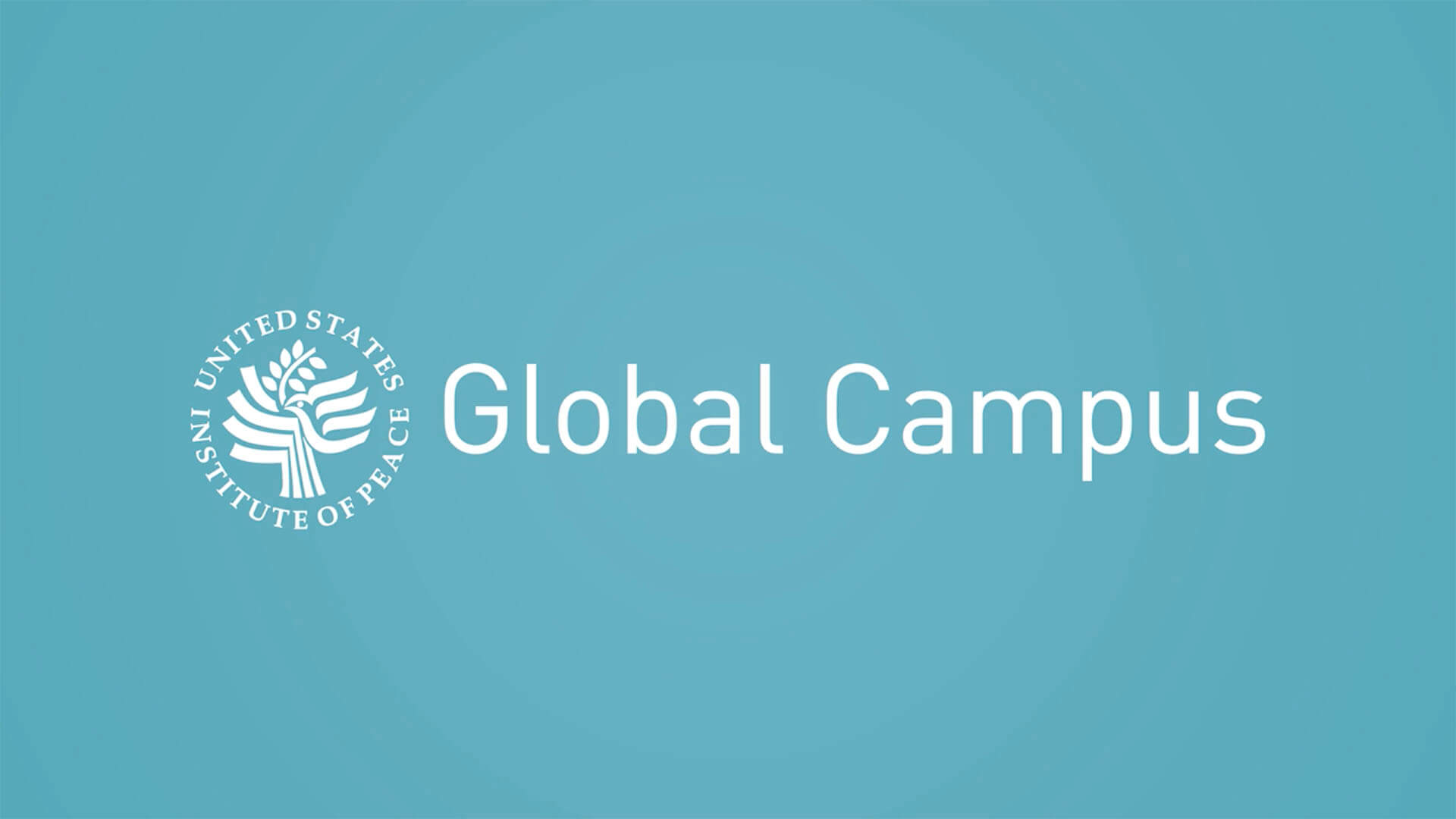 The Global Campus | Case Study | InterMotion Media