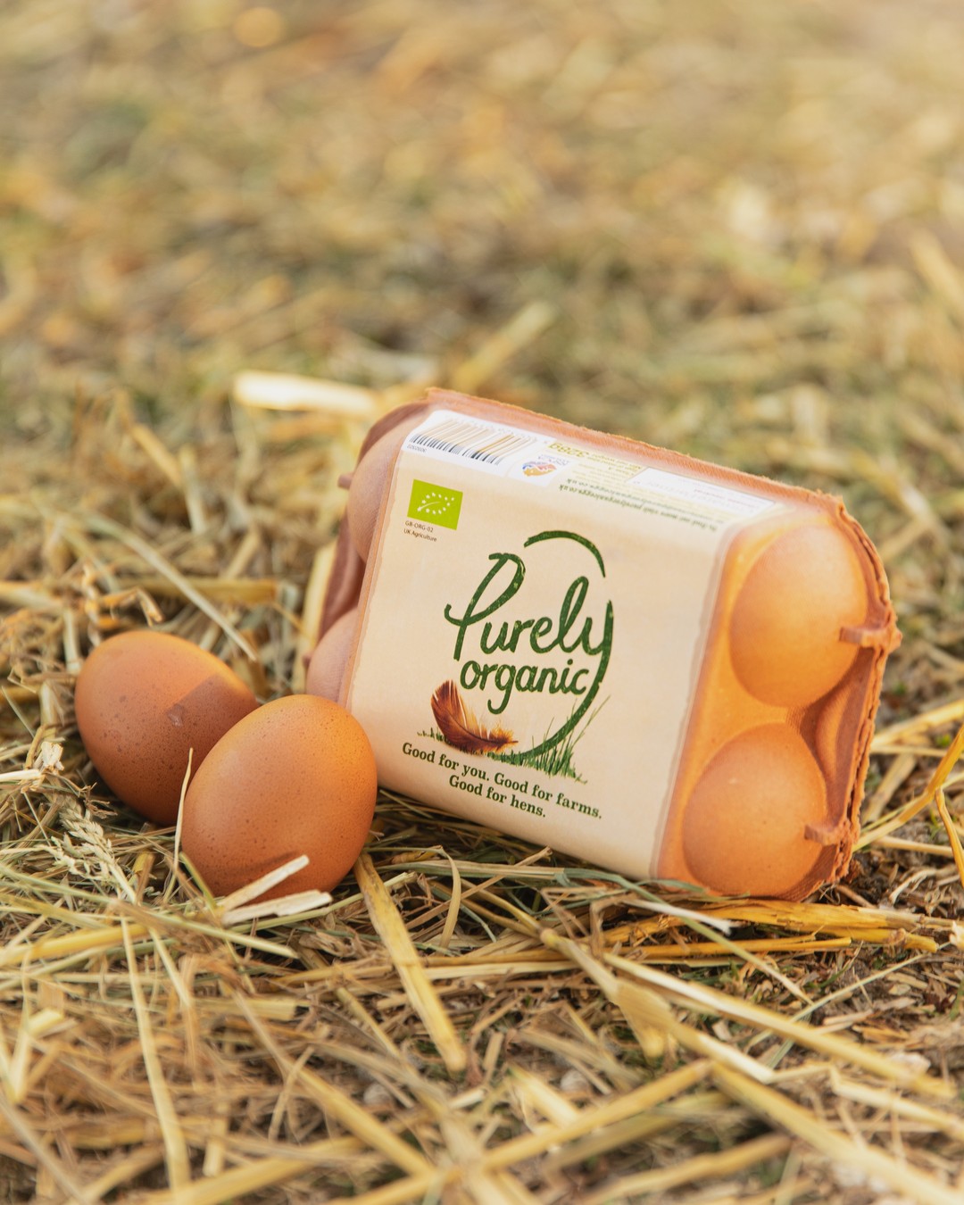 Our Recipes | Purely Organic