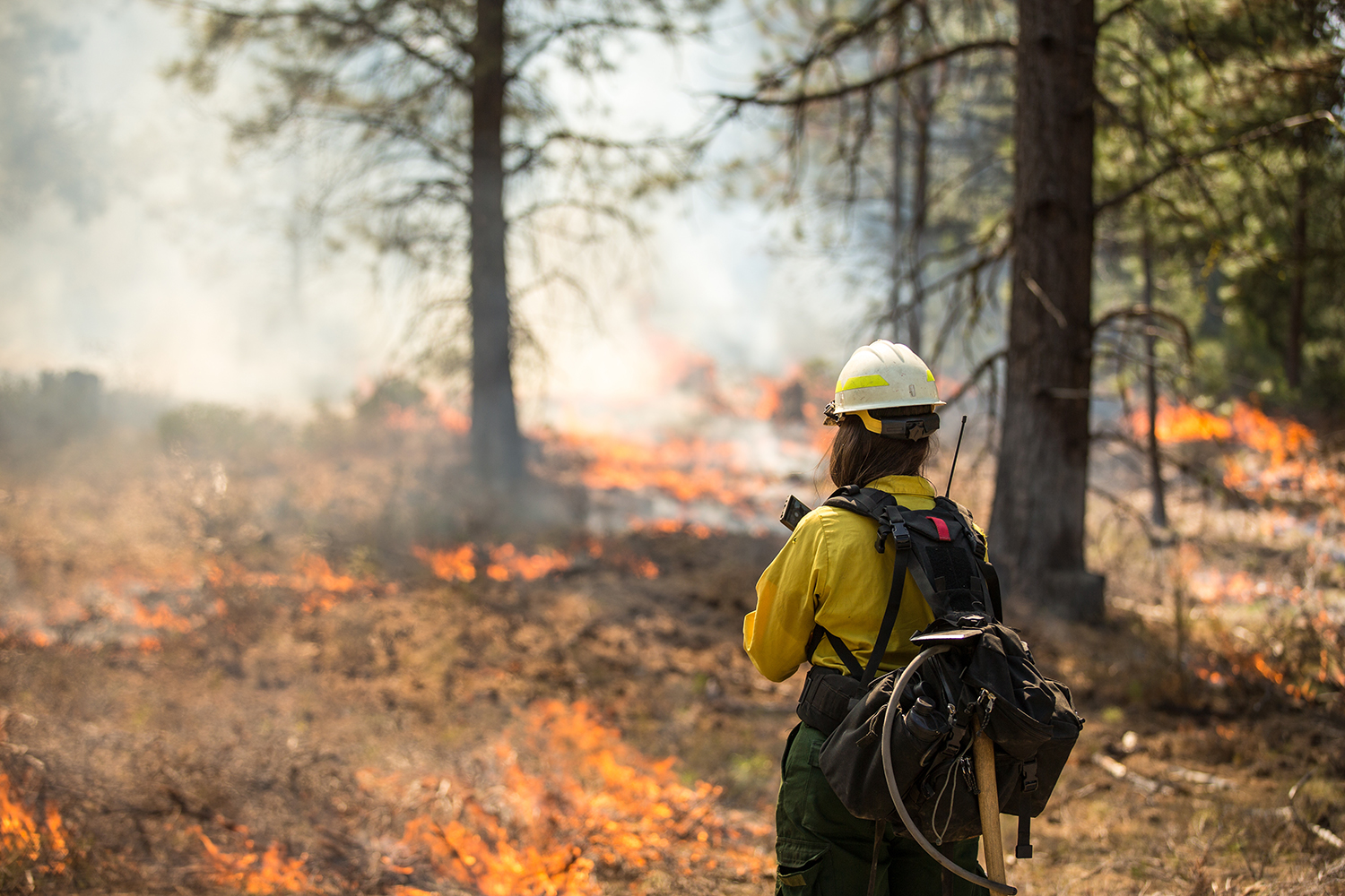 Navigating Wildfire Season During a Global Pandemic