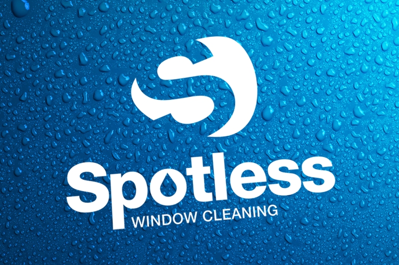 Spotless | Branding Design Work | T.Rex Design®