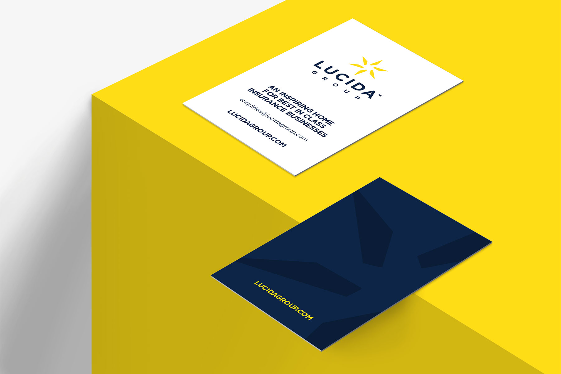 Lucida Group | Branding Design Work | T.Rex Design®