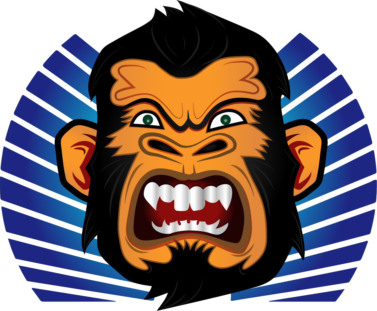 Blue Ridge Doors: A new addition to the Door Gorilla Family