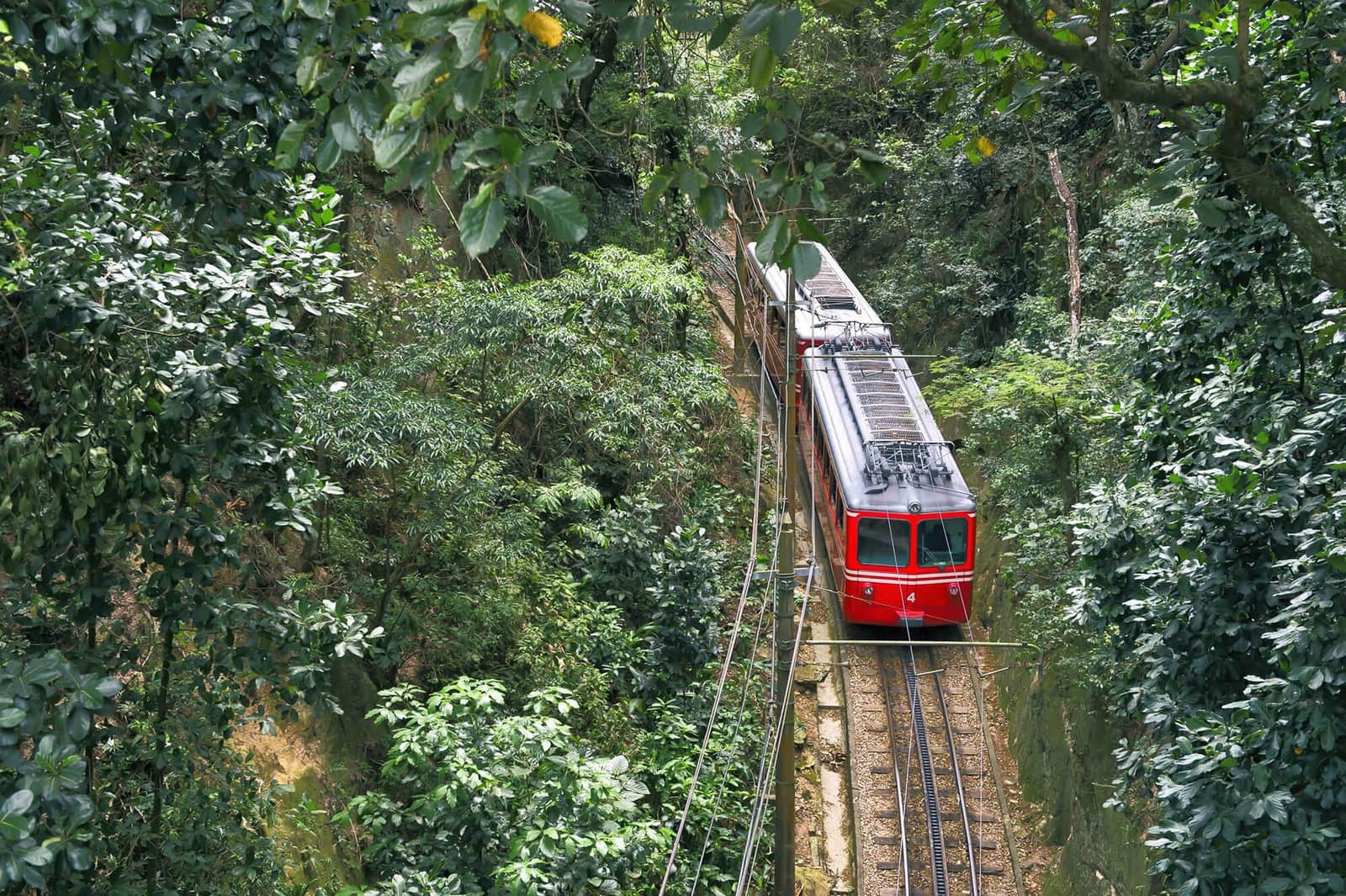 Grand Rail Tour of Brazil