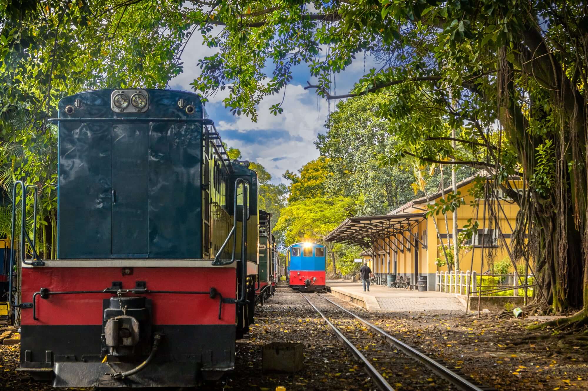 Grand Rail Tour of Brazil: A Journey of Culture, Nature, and History