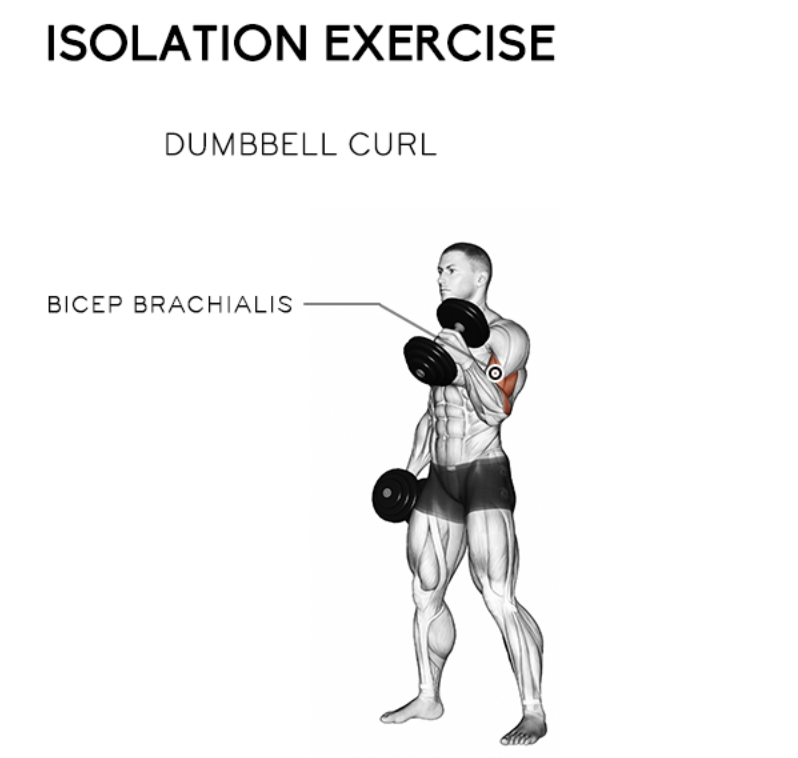 รู้จัก Isolation Movement เทคนิคที่จะช่วยให้การปั้นหุ่นของคุณสวยตรงใจ ...