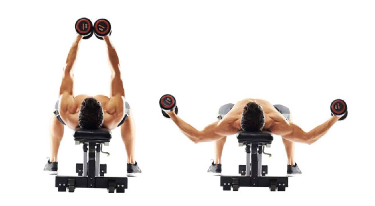 รู้จัก Isolation Movement เทคนิคที่จะช่วยให้การปั้นหุ่นของคุณสวยตรงใจ ...