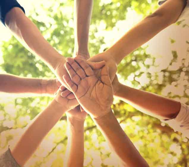 The Chandler Foundation Joins TAI Collaborative to Promote Transparency ...