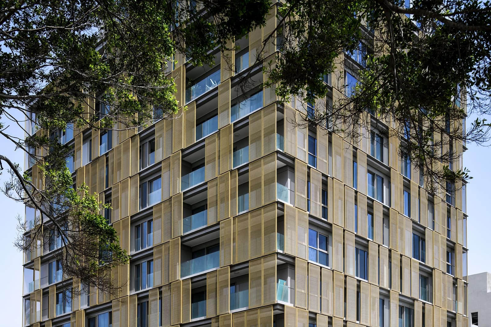 ORO at Yaffo, Israel