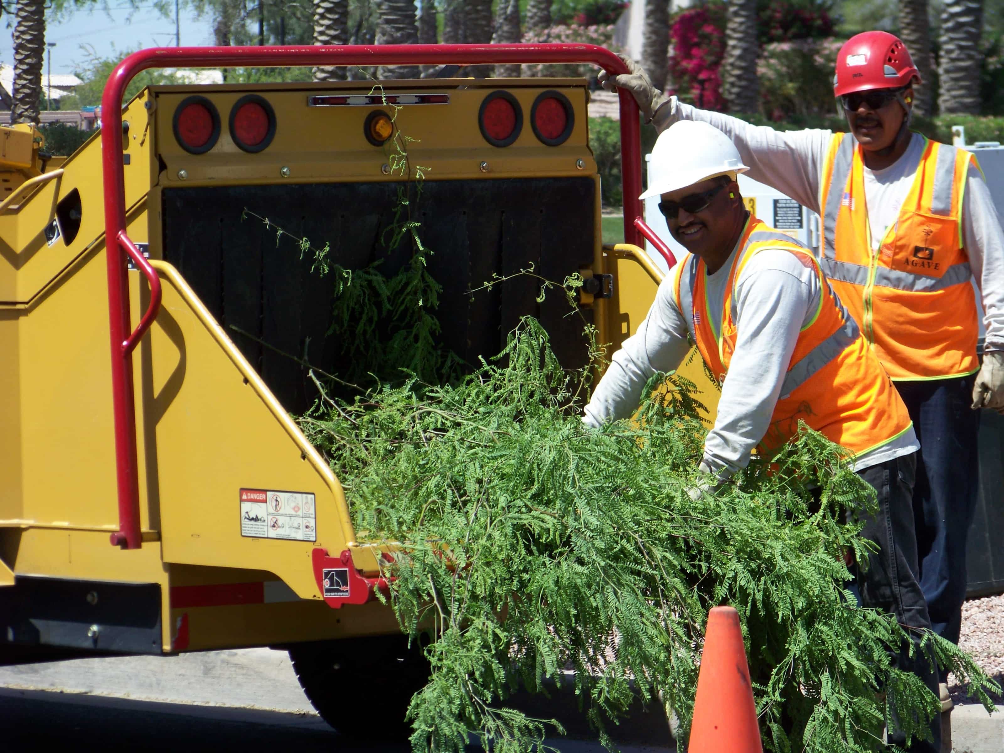Comprehensive Tree Care Management