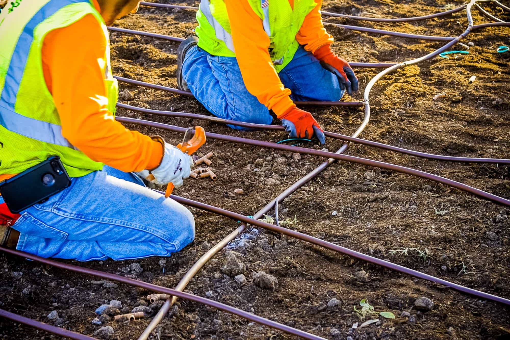 Our Team - Agave Environmental Contracting, Inc