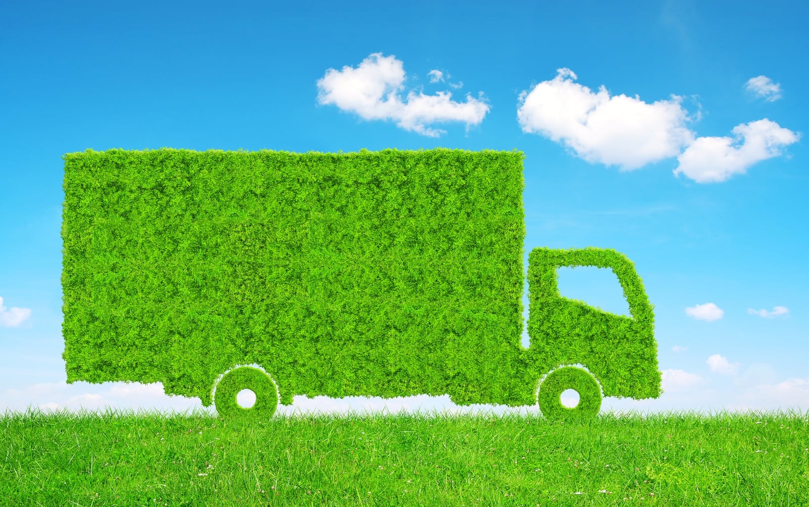 3 Tips to Implement Sustainable Shipping Practices | True Carriers Group