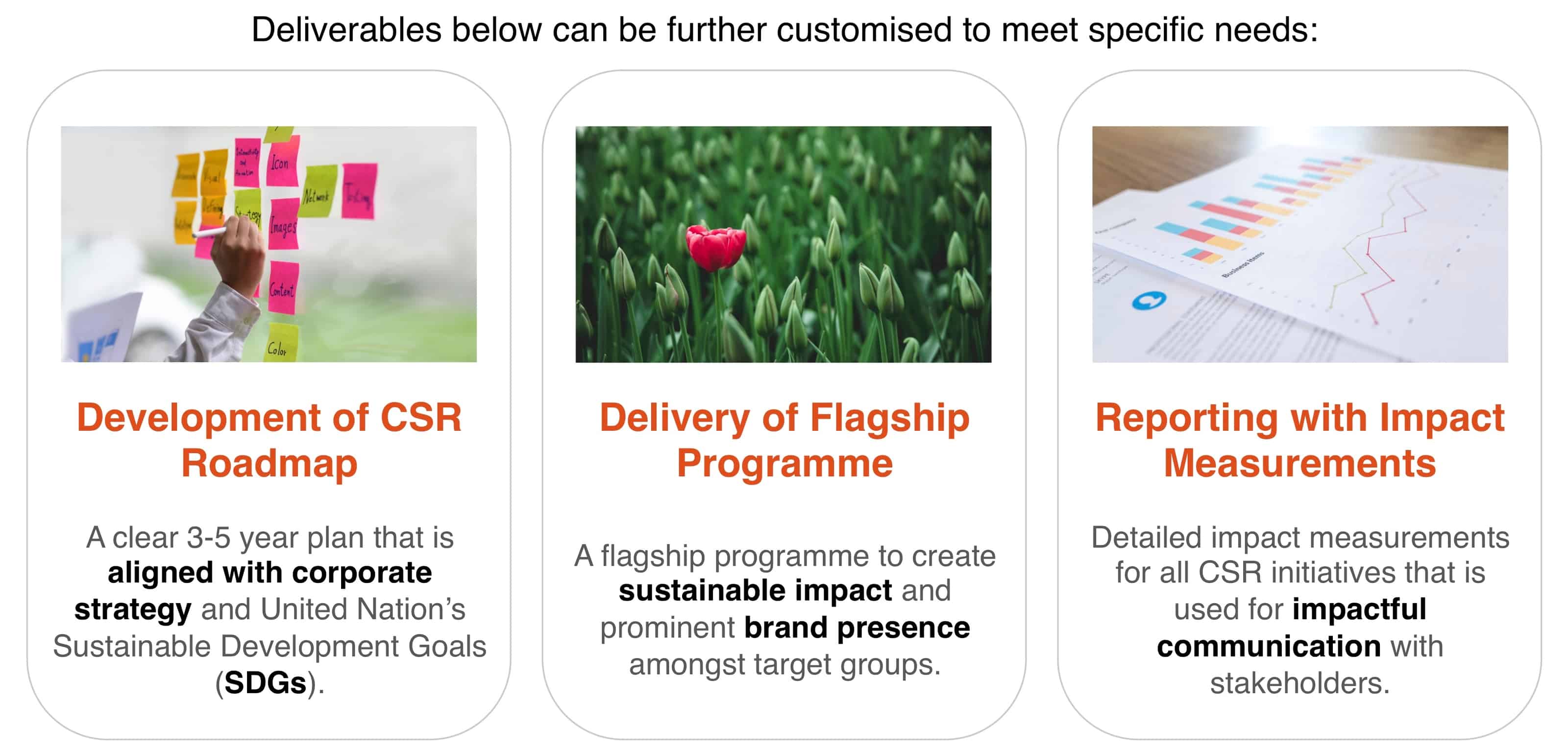 CSR Roadmap & Strategy