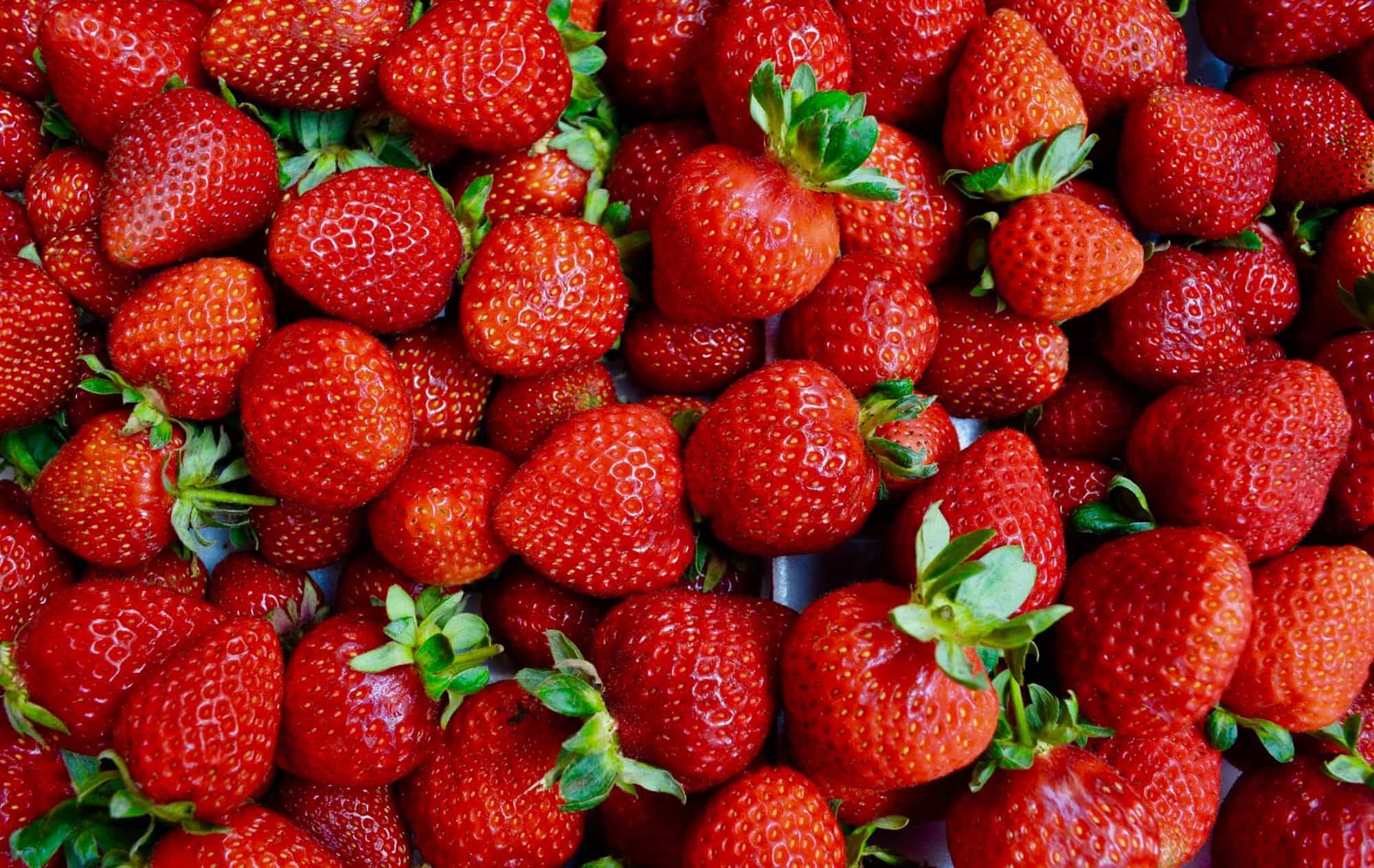 Super Strawberry - New England Motor Lodge | Glen Innes NSW