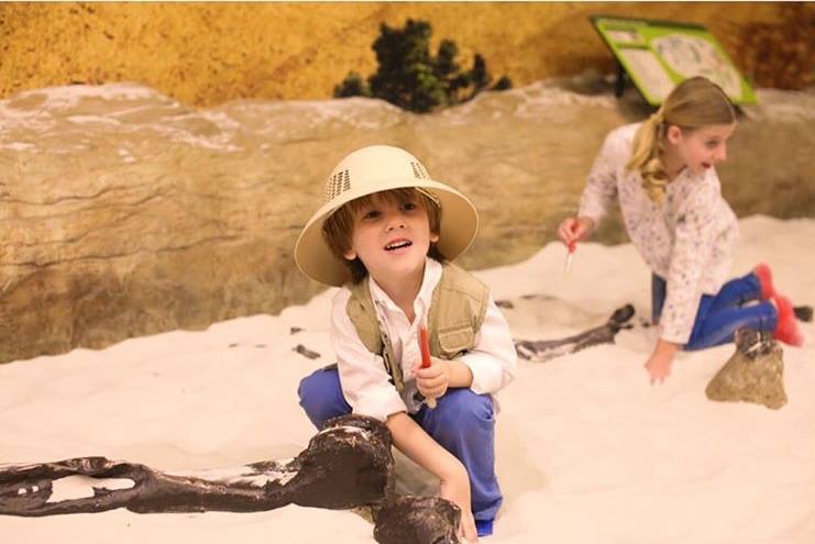 Visit Creative Discovery Museum