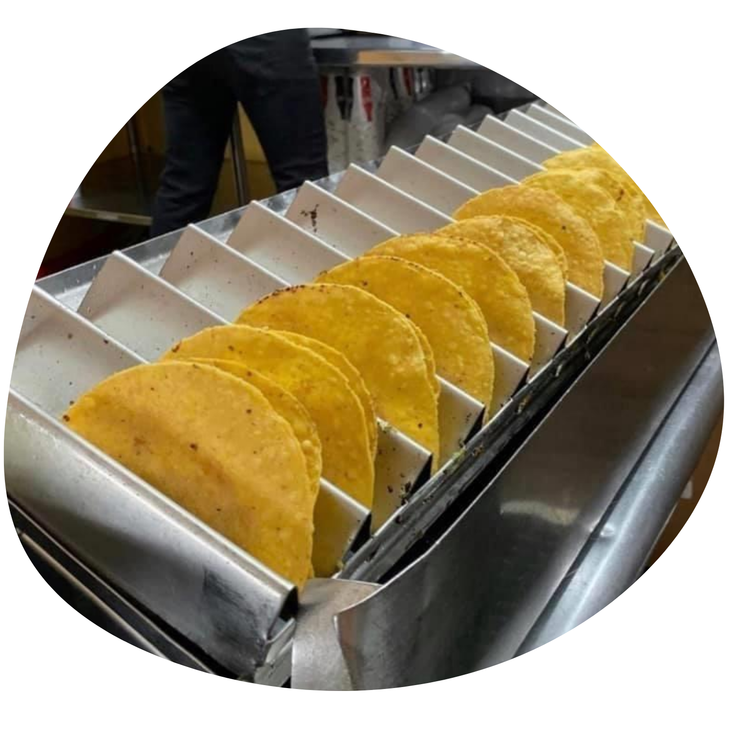 Harry's Tacos