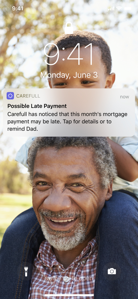 Carefull | Organize and protect your loved one's finances.