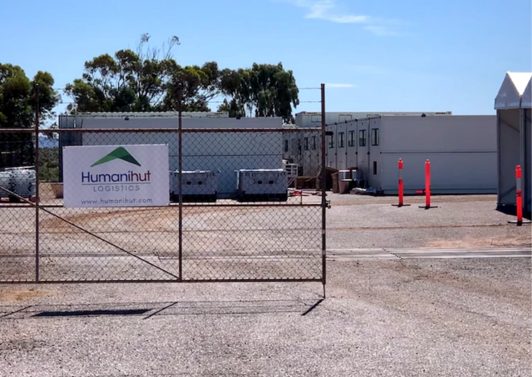 Humanihut
