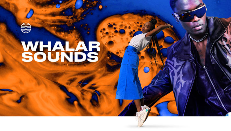 Influencer marketing done right. Creators with influence. | Whalar