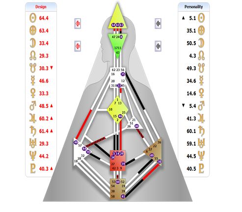 Human Design Workshop