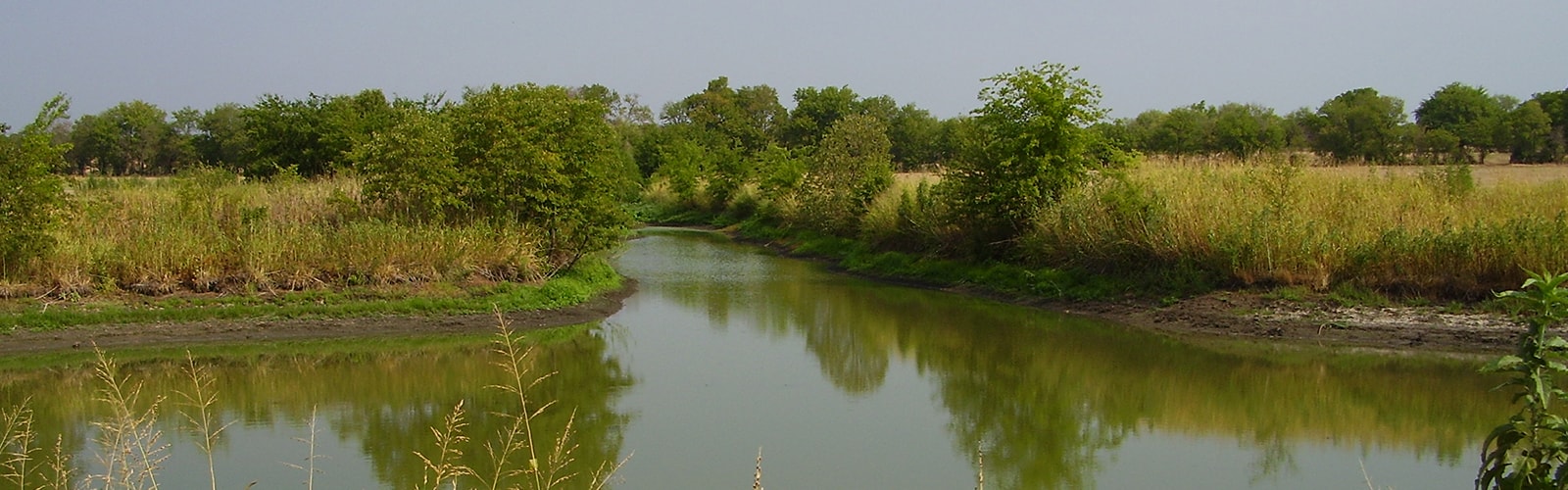 Plummer: Lake Ralph Hall Environmental Studies, Upper Trinity Regional ...