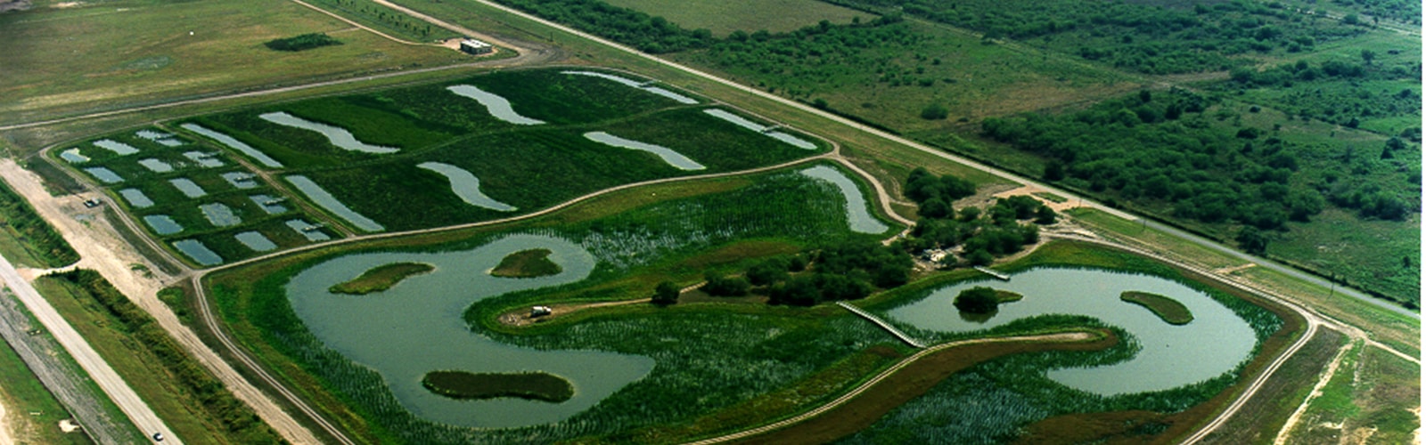 Plummer: Invista Victoria Constructed Wetland