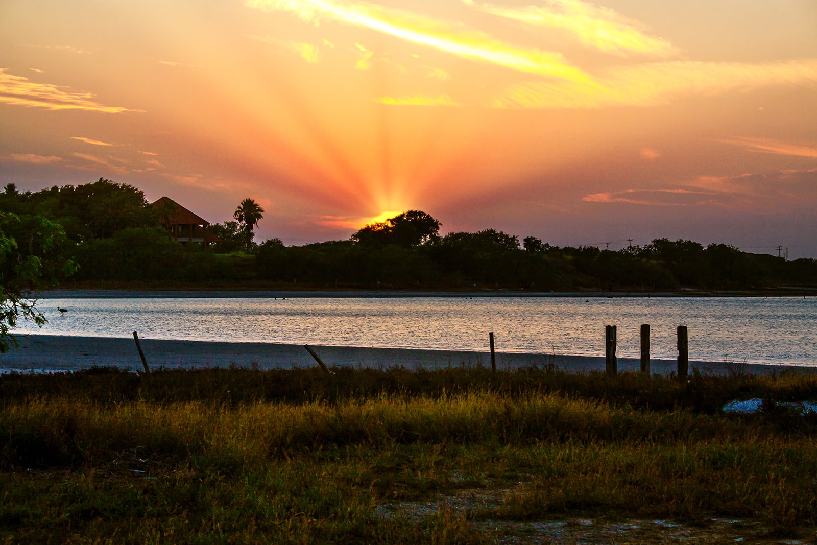 Plummer: Dissolved Oxygen Model of Oso Bay