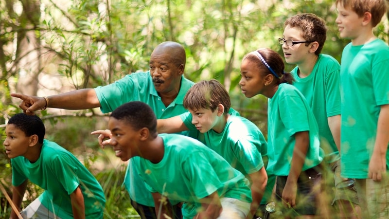 Summer camp curriculum | Ideas and lesson plan themes