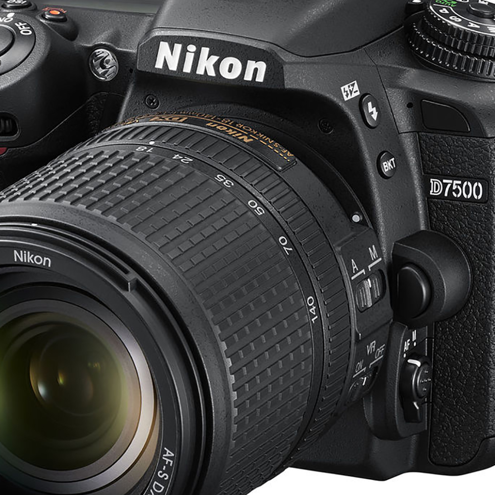 Nikon 101: Intro to Nikon Cameras - Virtual Class | Schiller's