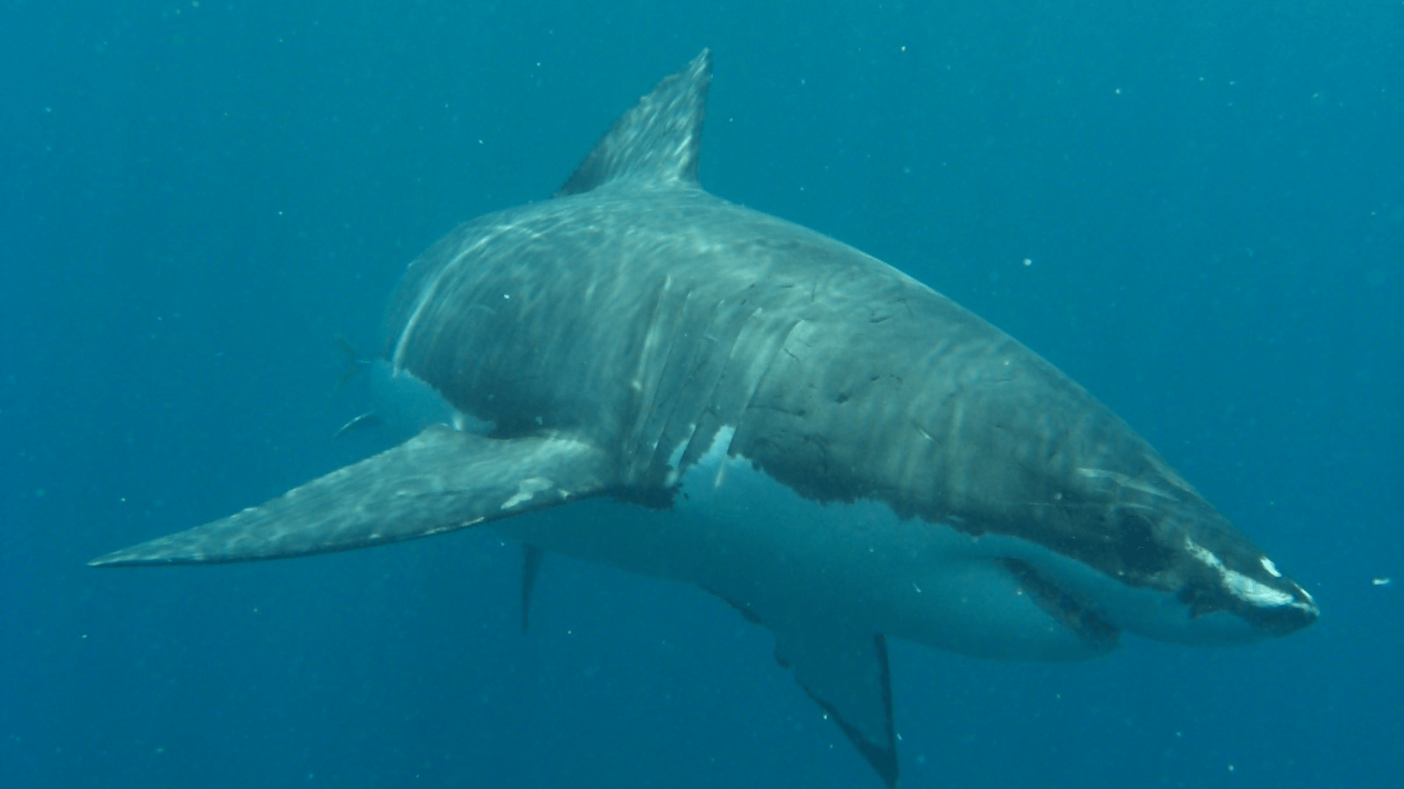 Education Charities New Zealand | Chive