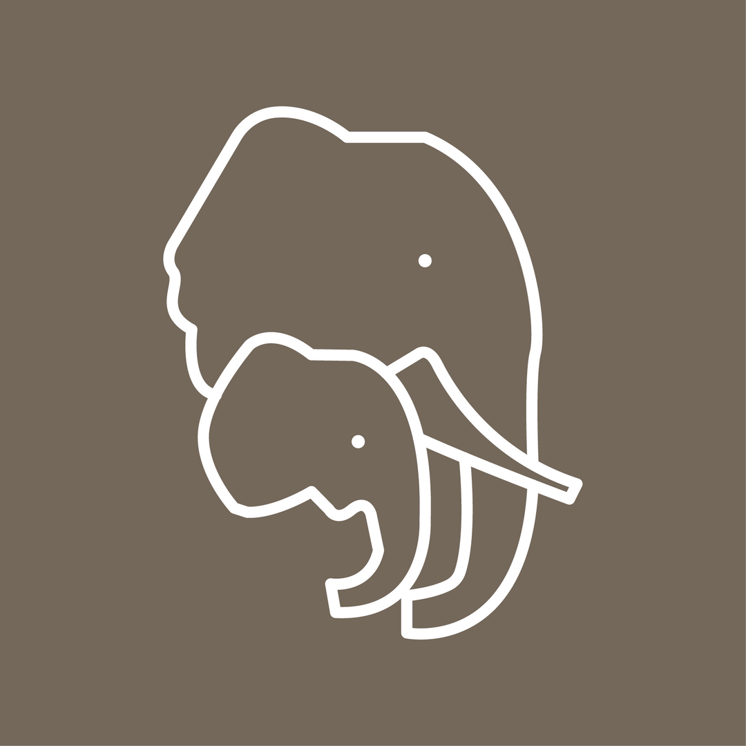 Our Project Types | ERP.NGO