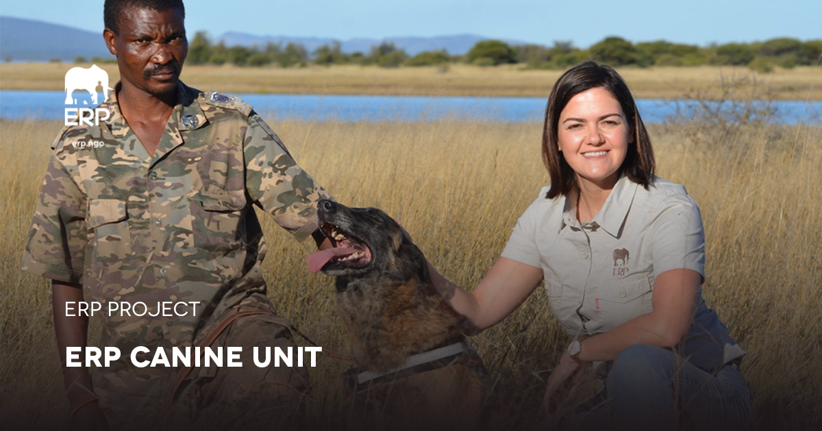 ERP Canine Unit | ERP.NGO