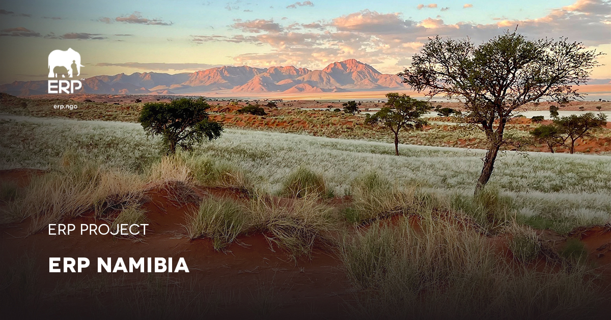 Introducing ERP Namibia | ERP.NGO