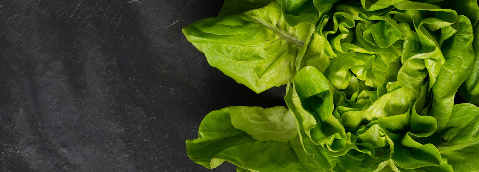 Wholesale Fruit and Vegetables Suppliers in Sydney