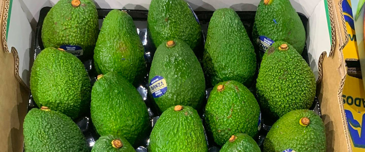 Fruitilicious Wholesale | Order online with Foodbomb