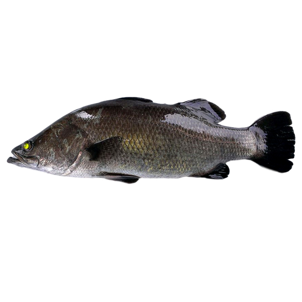 Sea Kings by Nationwide Seafood | Order online with Foodbomb