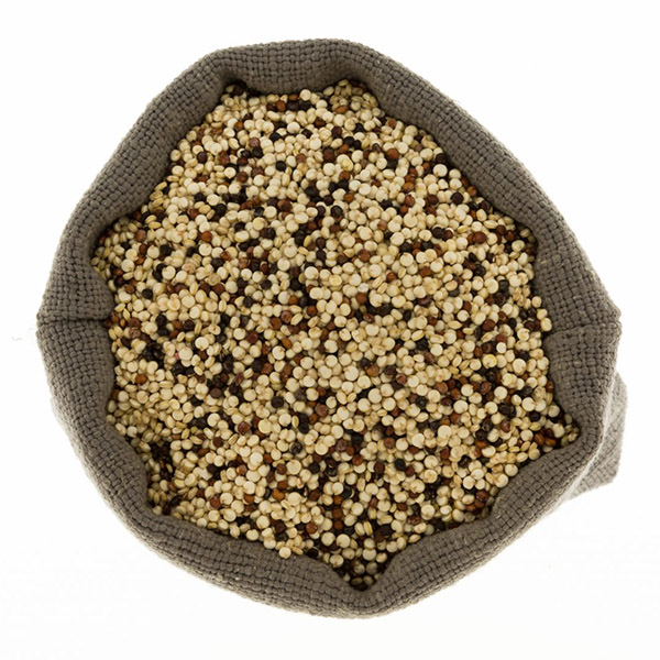Galaxy | Order Wholesale Online with Foodbomb