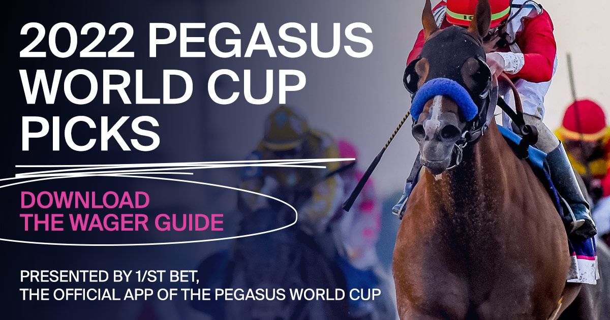 Pegasus World Cup Picks & Wagering Strategies | 1/ST BET
