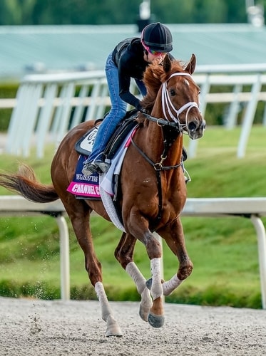 Pegasus World Cup Picks & Wagering Strategies | 1/ST BET