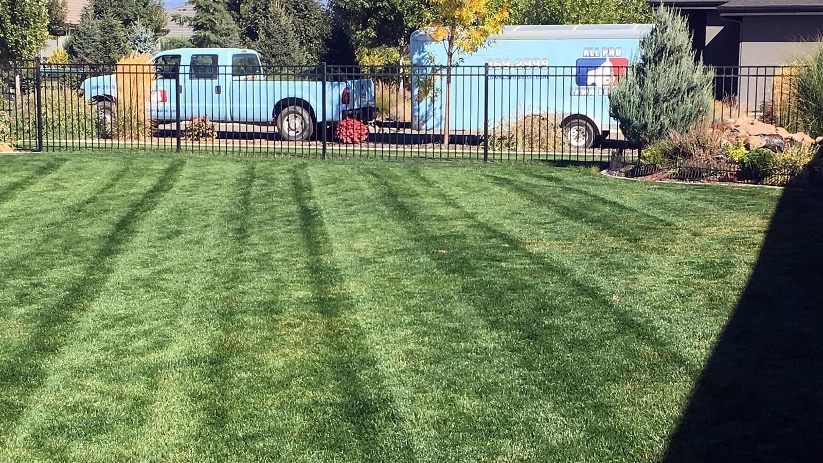 Lawn Care Services | All Pro Lawn Service