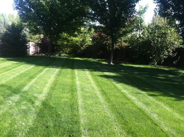Check Out Our Work | All Pro Lawn Service