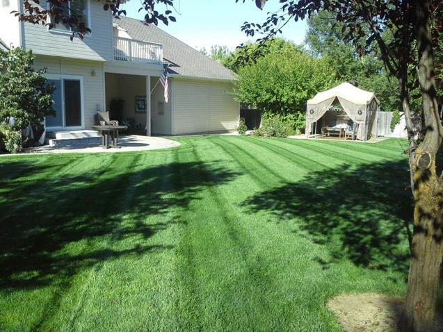 Check Out Our Work | All Pro Lawn Service