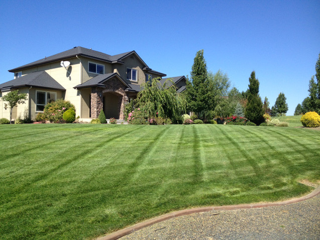 Check Out Our Work | All Pro Lawn Service